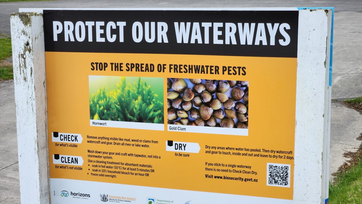 Gold clam threat prompts warning to Whanganui river users - AWA FM